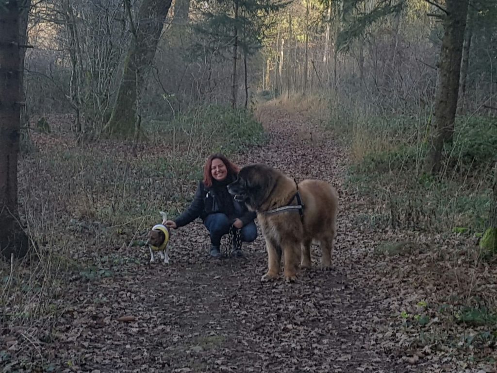 Gassi-Geh-Service - Grüne Pfoten